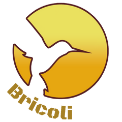 Deco murale et relooking de meuble avec l'effet colibri ! – BRICOLI